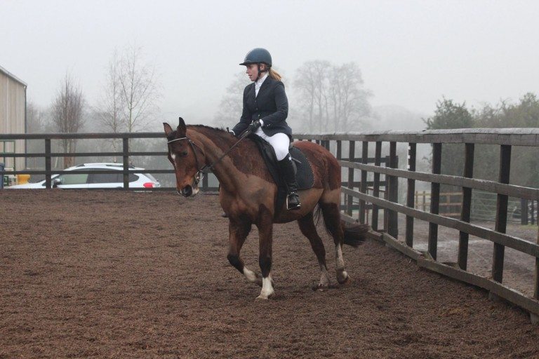 Warwick Riding Club in 2017 - The Boar