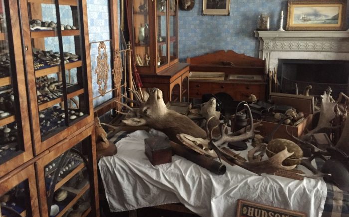 Visiting Calke Abbey, the ‘un-stately’ home where less is more - The Boar