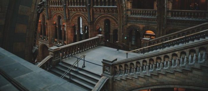 The evolution of science into theatre - The Boar