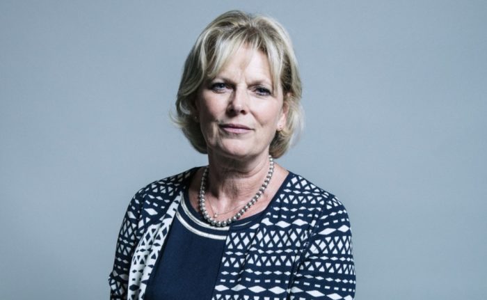 The outcry over Soubry’s ‘harassment’ highlights hypocrisy in our ...
