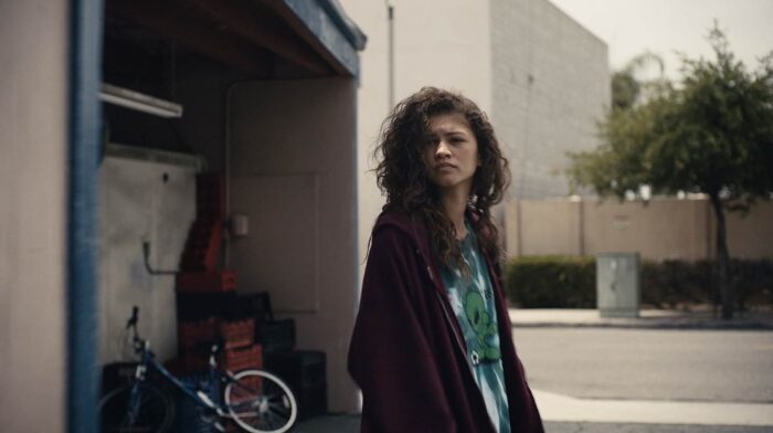 ‘Euphoria’: why is the drama’s explicit exploration of teenagehood so ...