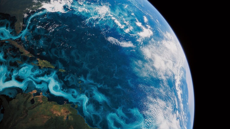 ‘A Perfect Planet’ review - The Boar