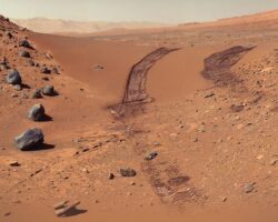 The Perseverance of Mars through science fiction - The Boar