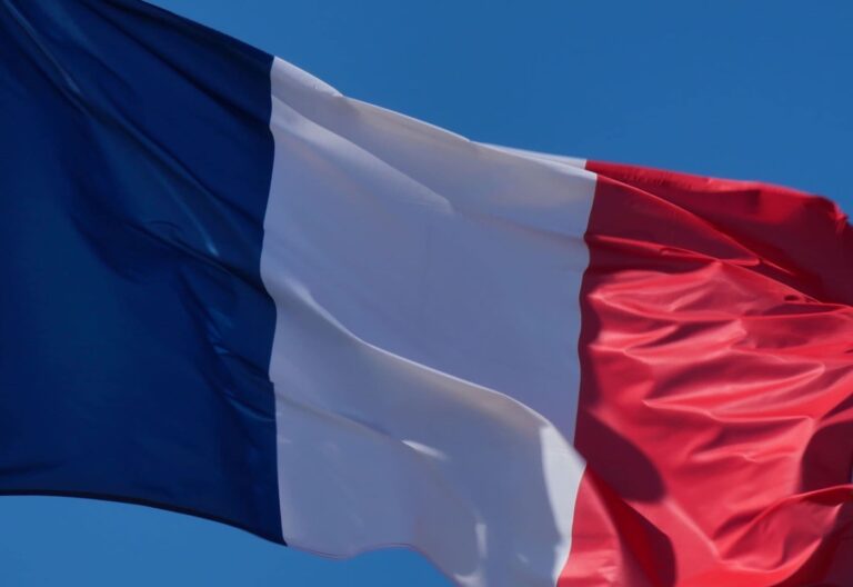 The French Presidential Elections 2022 explained: round one. - The Boar