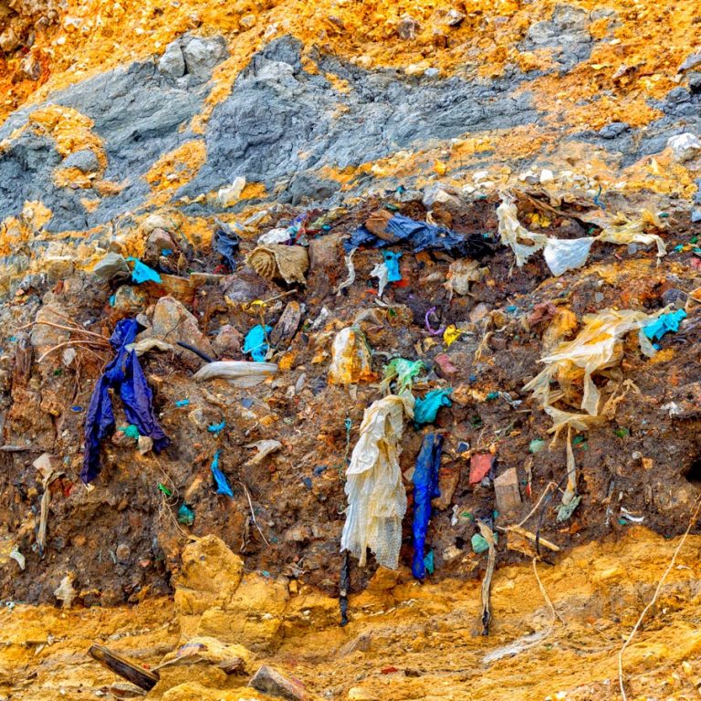 The Anthropocene Reviewed reviewed - The Boar