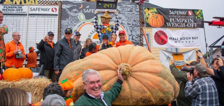 World’s largest pumpkin as heavy as 14 wild boars - The Boar