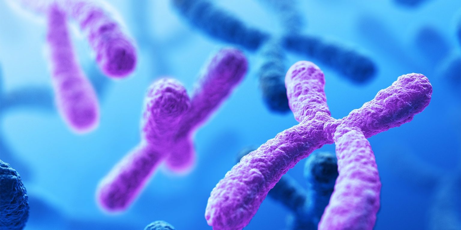 Little miss bunda leaked regardless, got the green light on