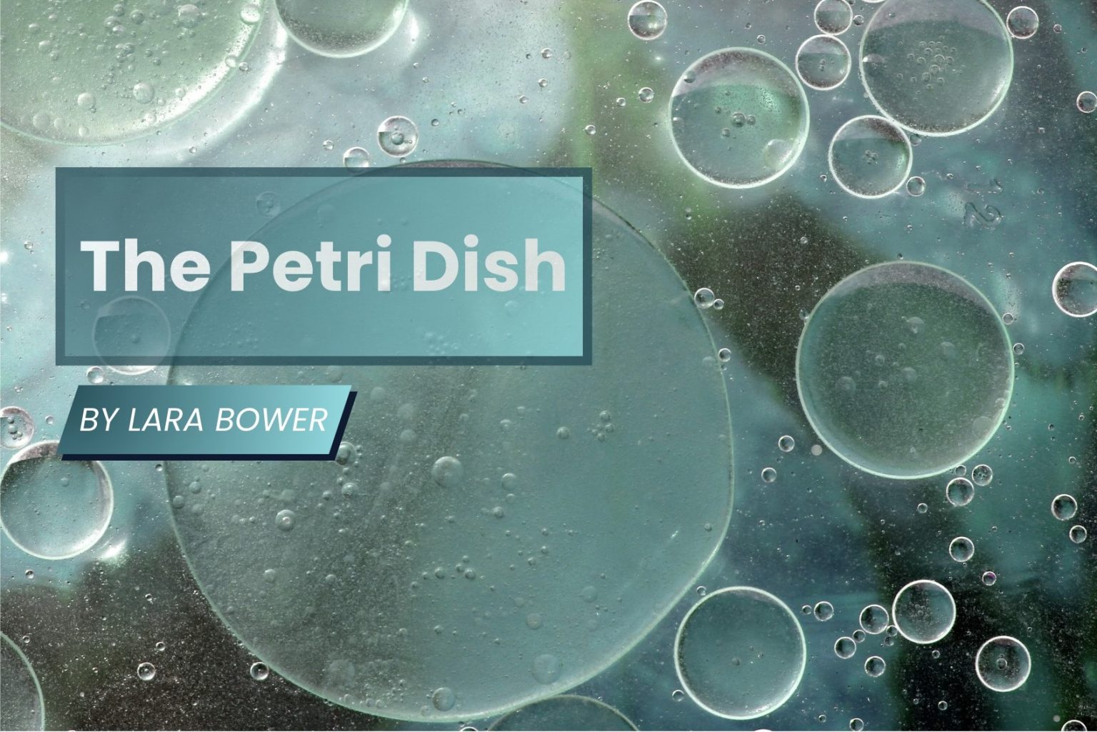 The Petri Dish – Through the looking glass: The case for mirror life - The Boar