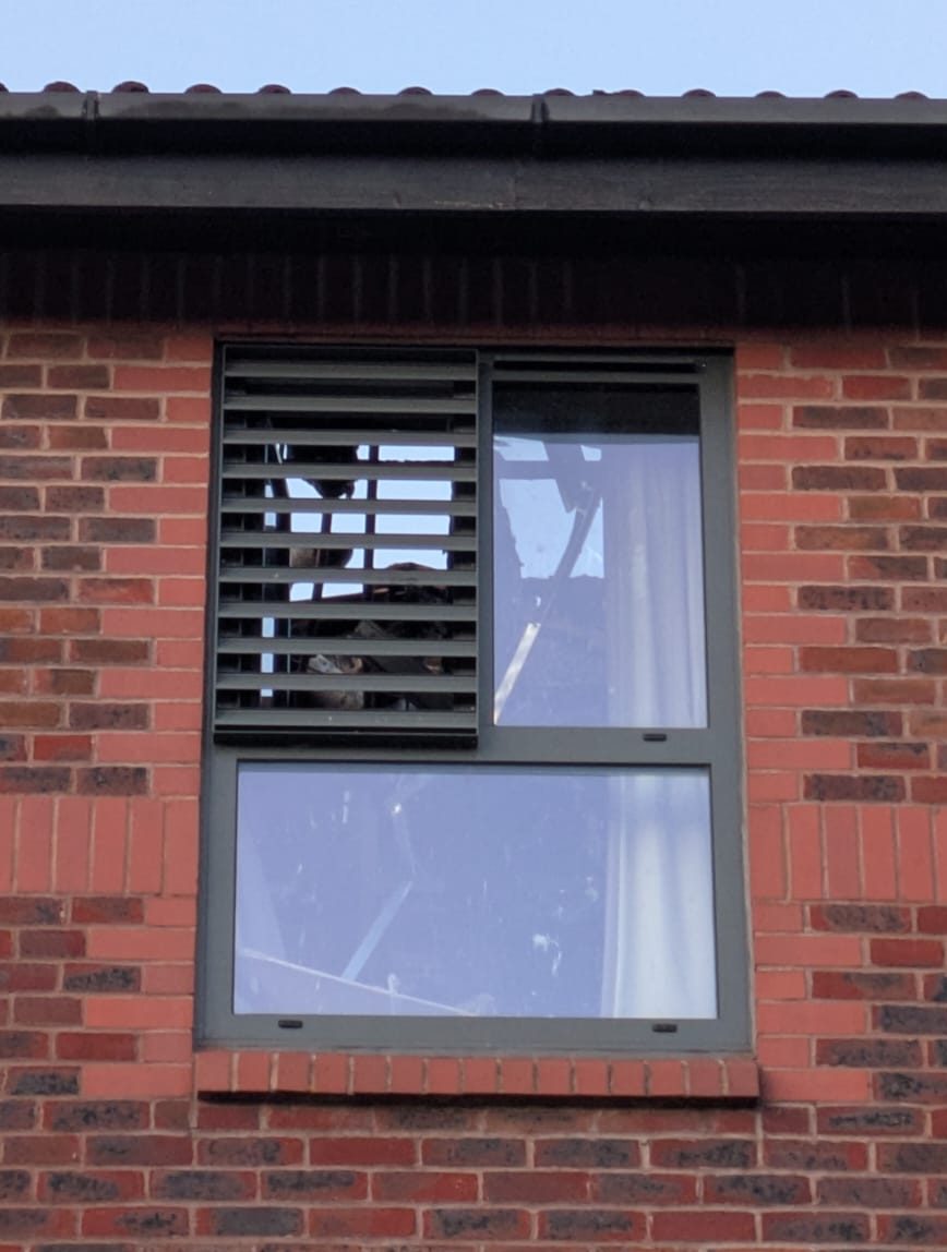 BREAKING: No injuries reported after fire devastates Arthur Vick ...